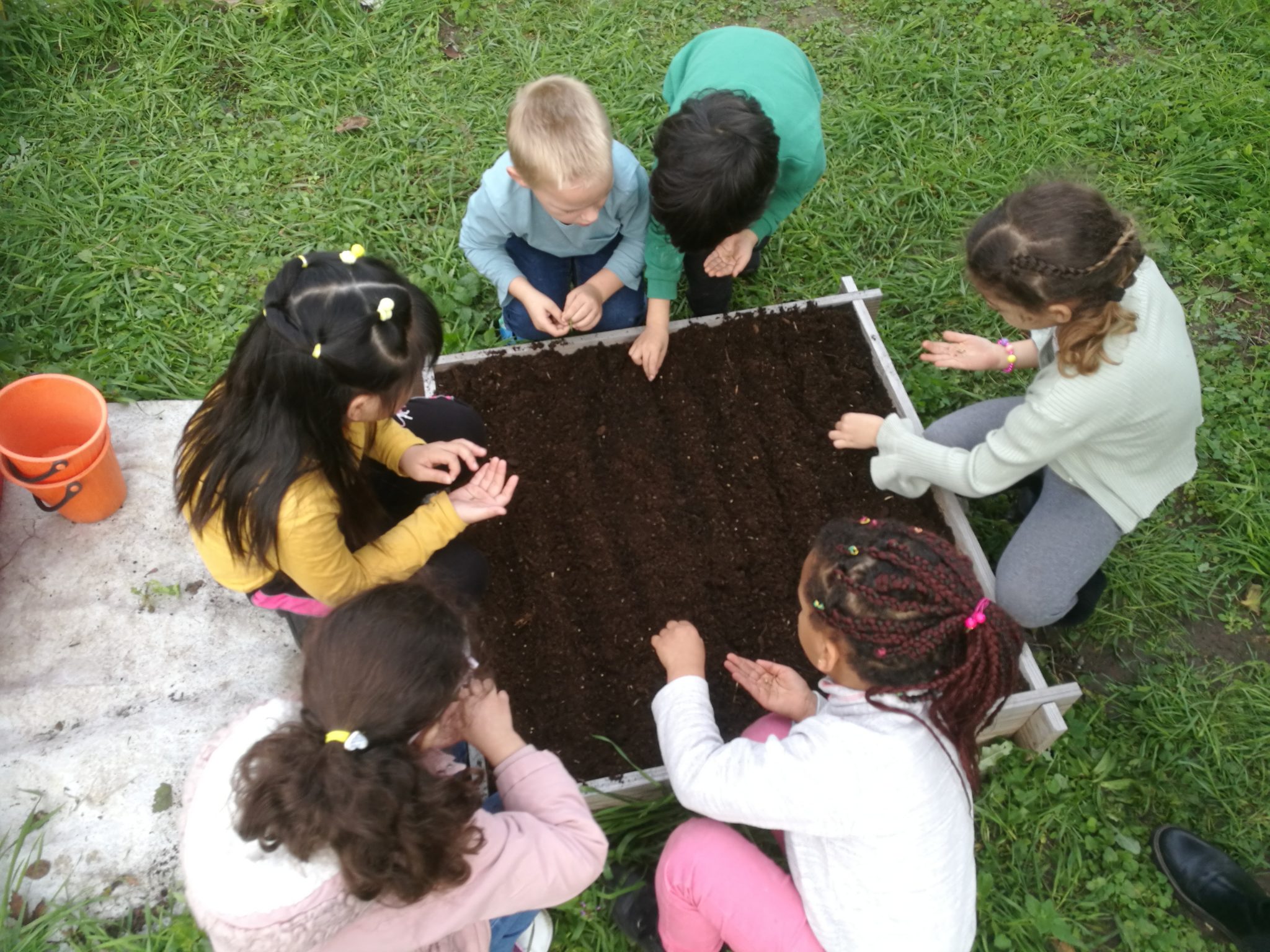 Les Mains Vertes - Atelier animation formation jardinage et permaculture